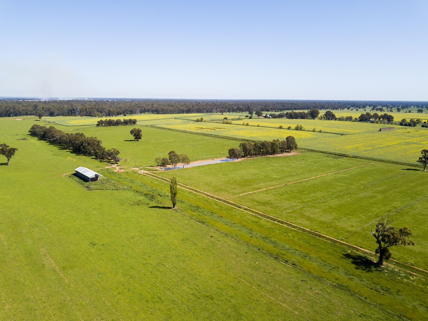 148 Maneroo Road, Bunbartha VIC 3634 - Specialist Farm for Sale