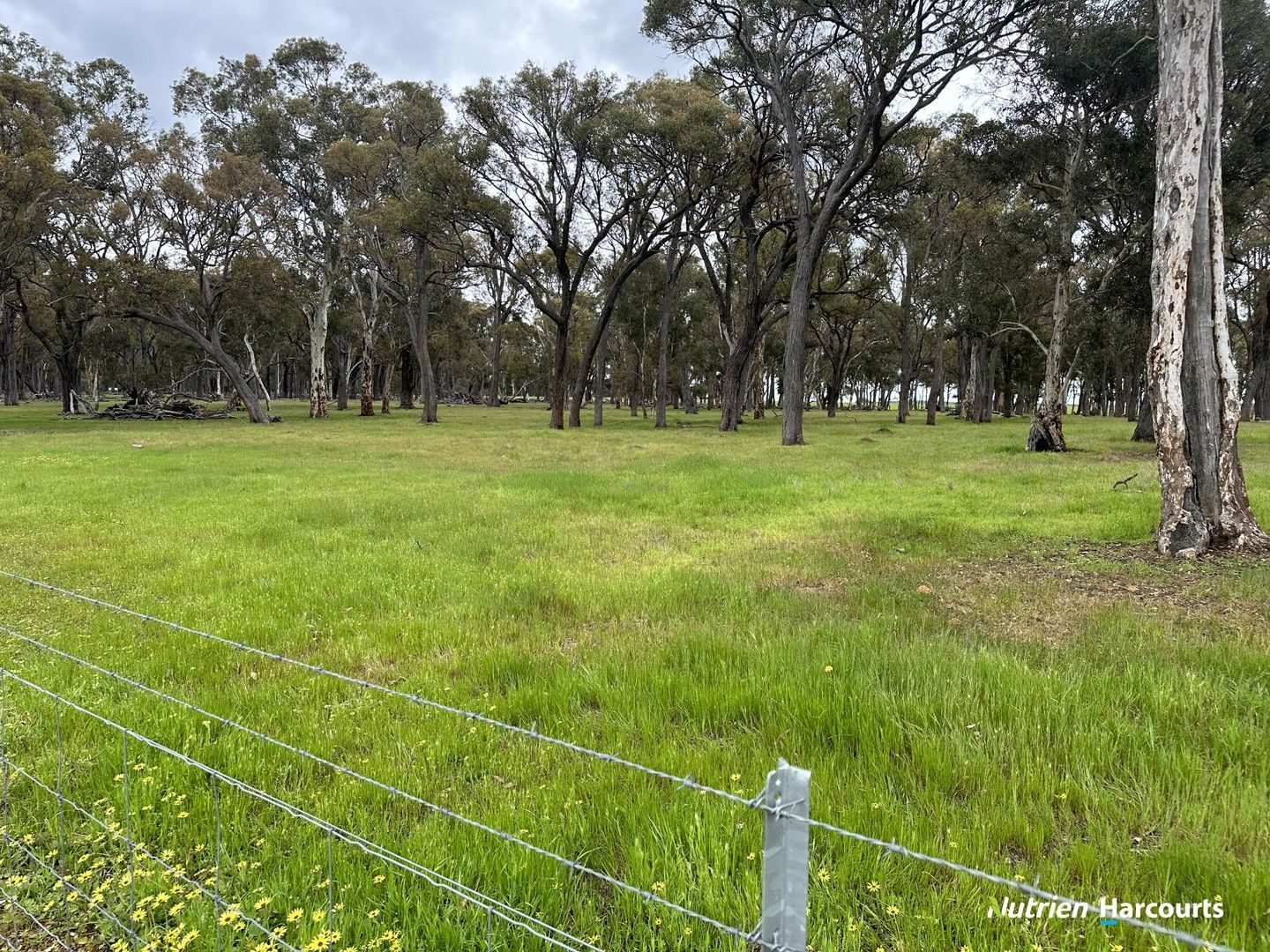 1055 Junction Road, Perup WA 6258 - Specialist Farm for Sale | Domain