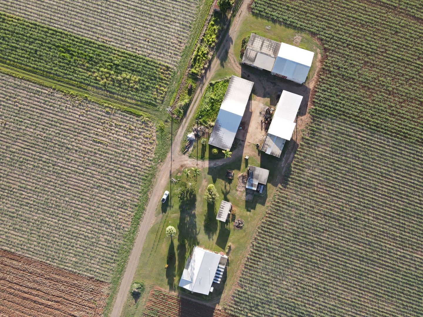 36 Cataldo Road, Boogan QLD 4871 - House for Sale | Domain