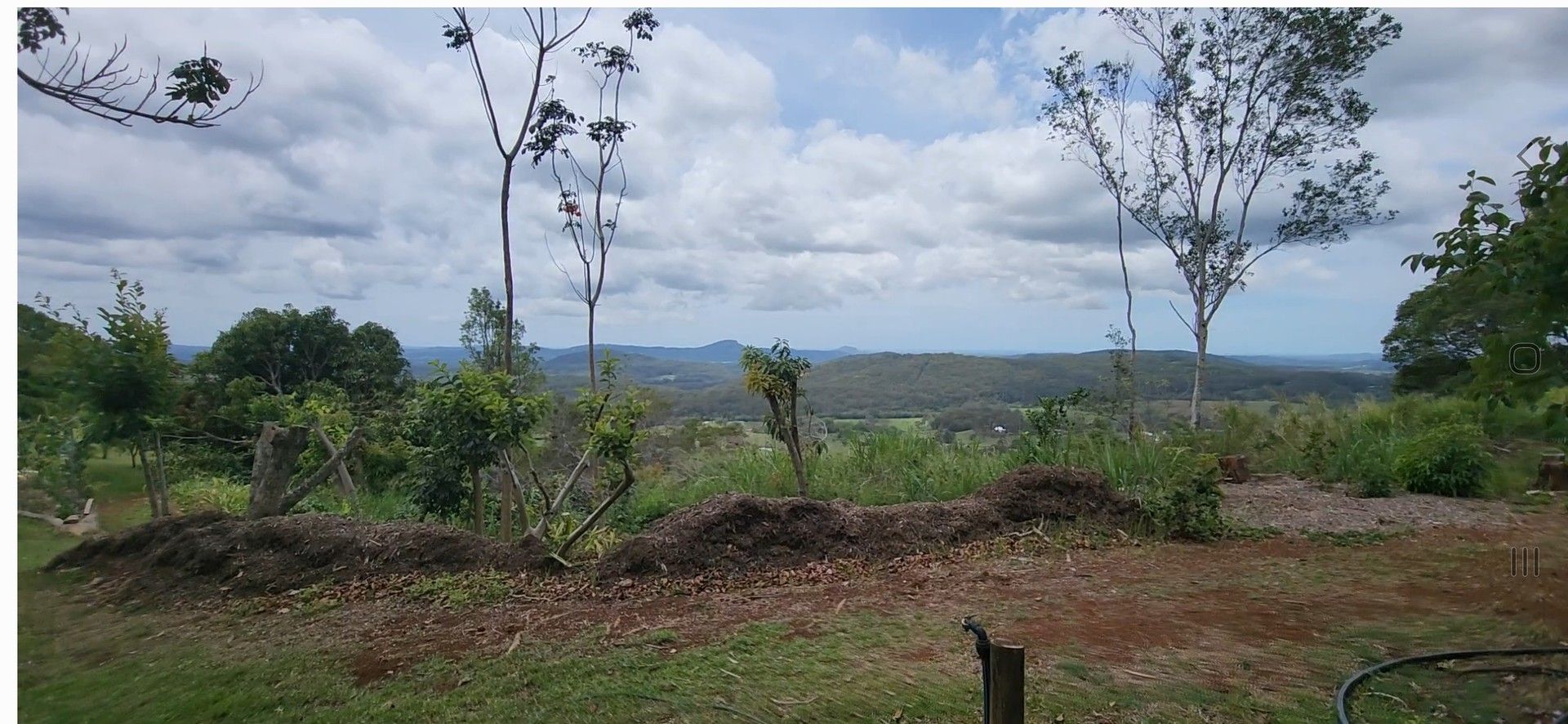 Kiamba QLD 4560 - House for Sale | Domain