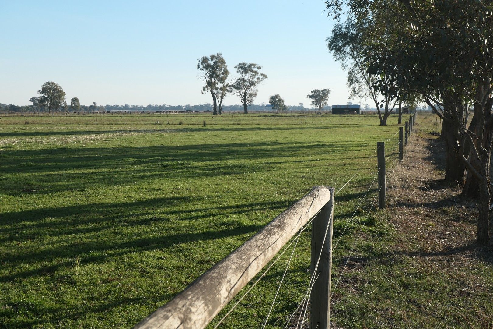 135 Walsh road, Katandra VIC 3634 - Farm for Sale - $295,000 | Domain