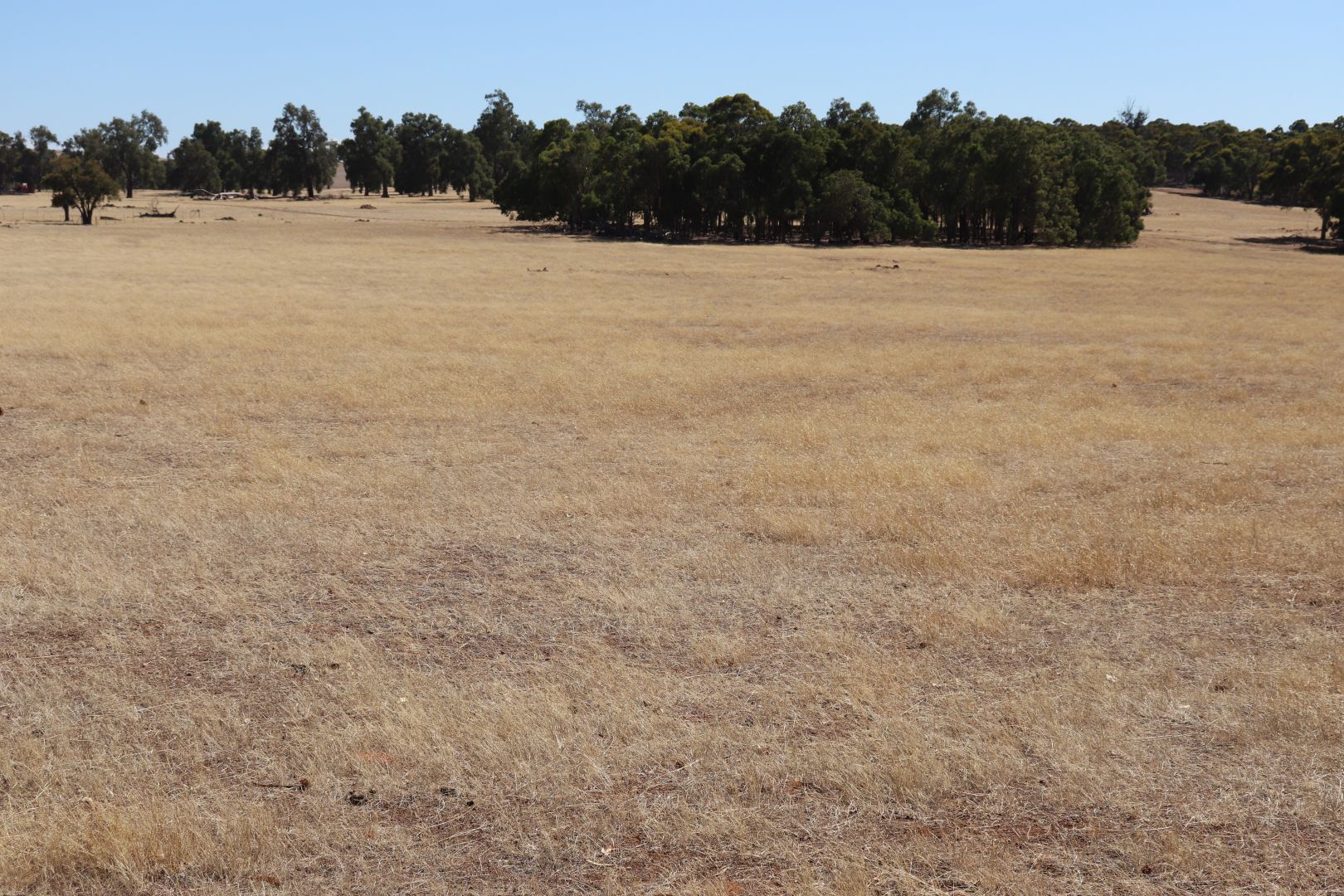 Lot 500 Harders Chitty Road, Julimar WA 6567 - Specialist Farm for Sale ...