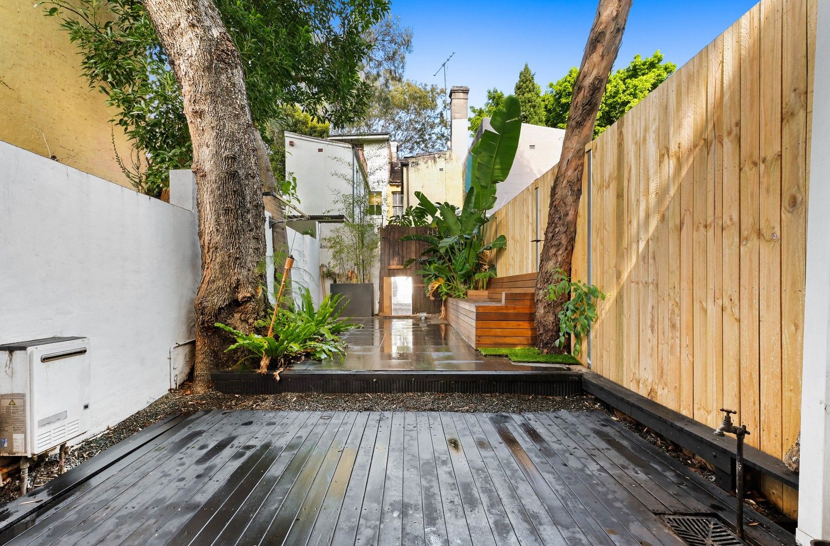 167 Lawson Street, Redfern NSW 2016 - Terrace For Rent | Domain