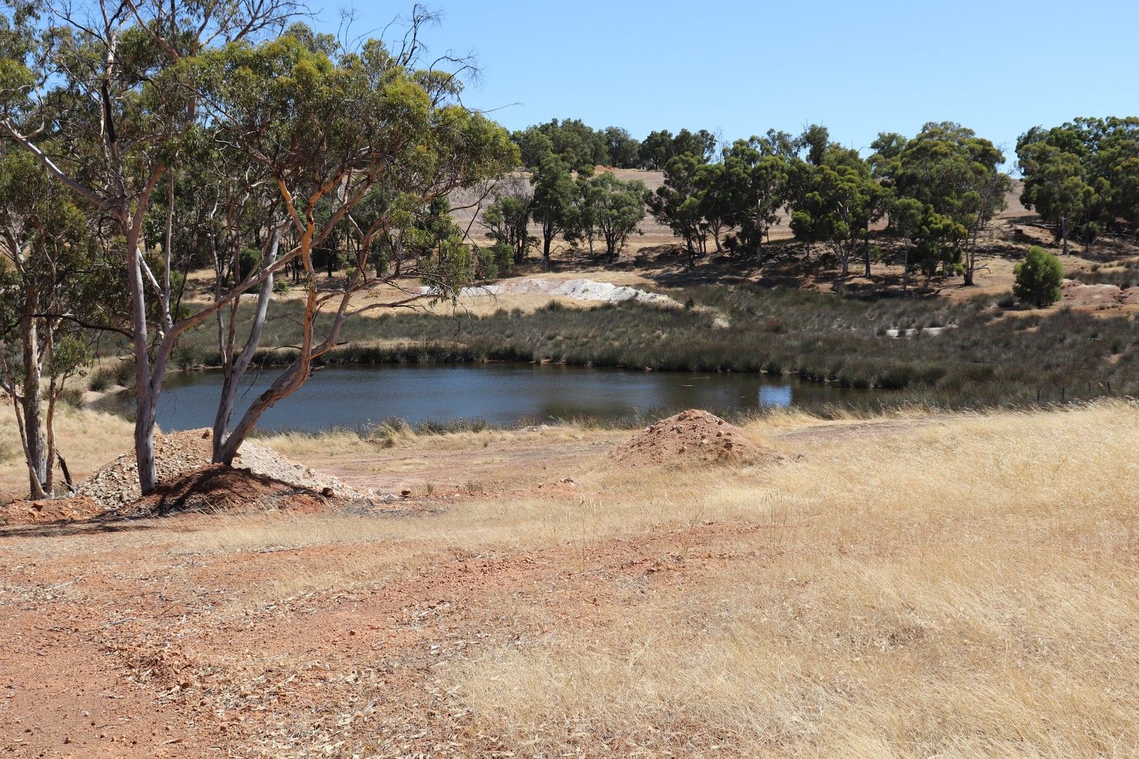 Lot 500 Harders Chitty Road, Julimar WA 6567 - Specialist Farm for Sale ...