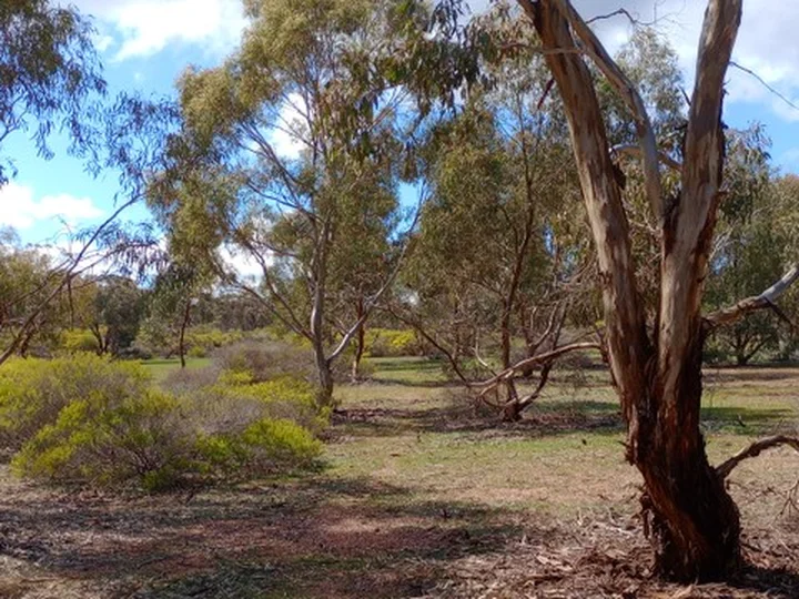 147 Real Estate Properties for Sale in Wedderburn, VIC, 3518 | Domain