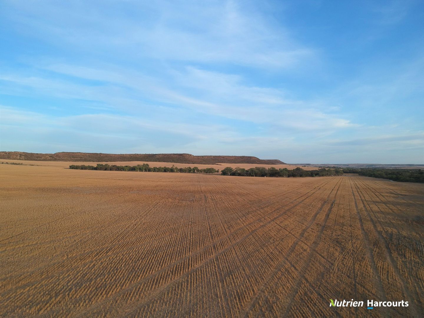 405 Murphy - Yetna Road, Yetna WA 6532 - Specialist Farm for Sale