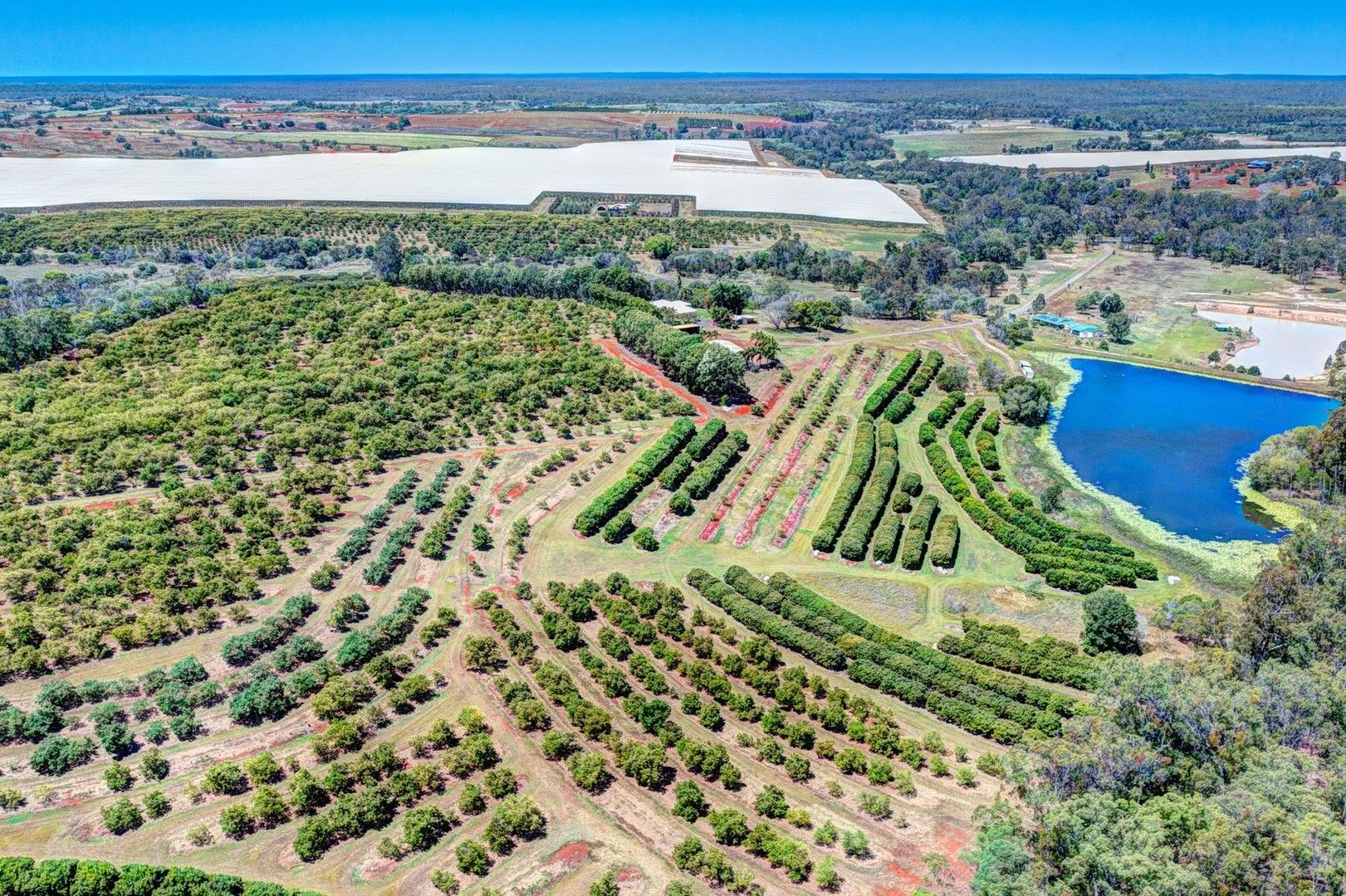 236 Butchers Road, South Isis QLD 4660 - House for Sale | Domain