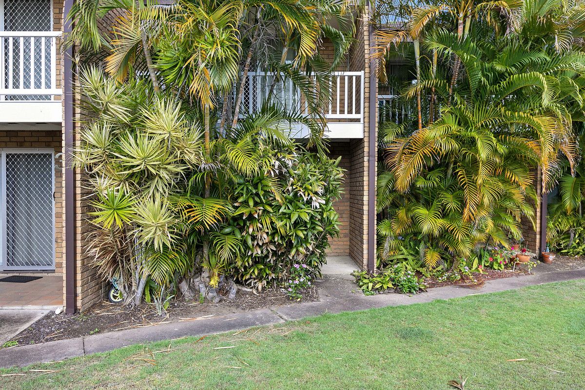 4/6-8 Beach Road, Pialba QLD 4655 - Townhouse For Rent - $430 | Domain