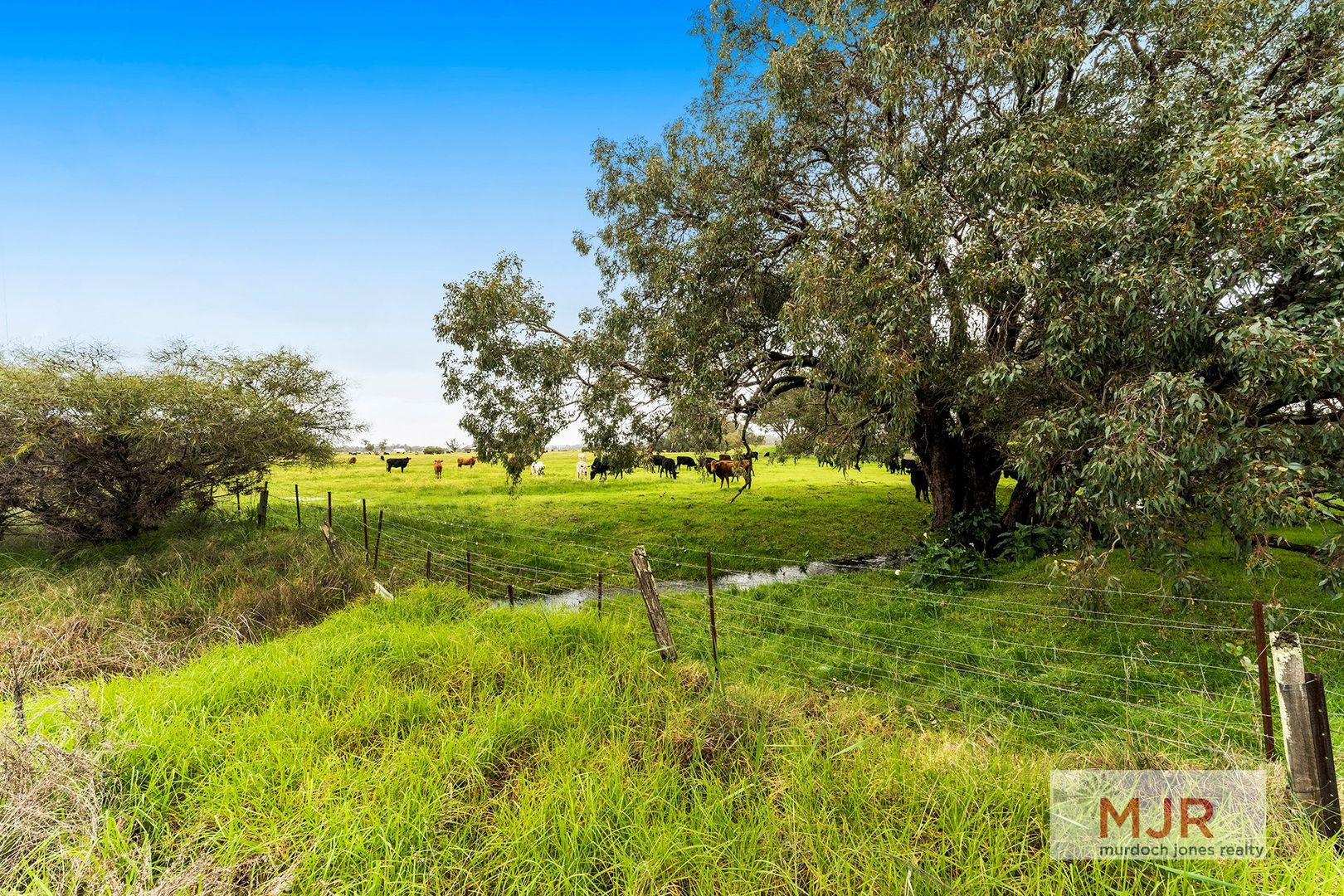 38 & Lot 1032 River Road, Hopeland WA 6125 | Domain