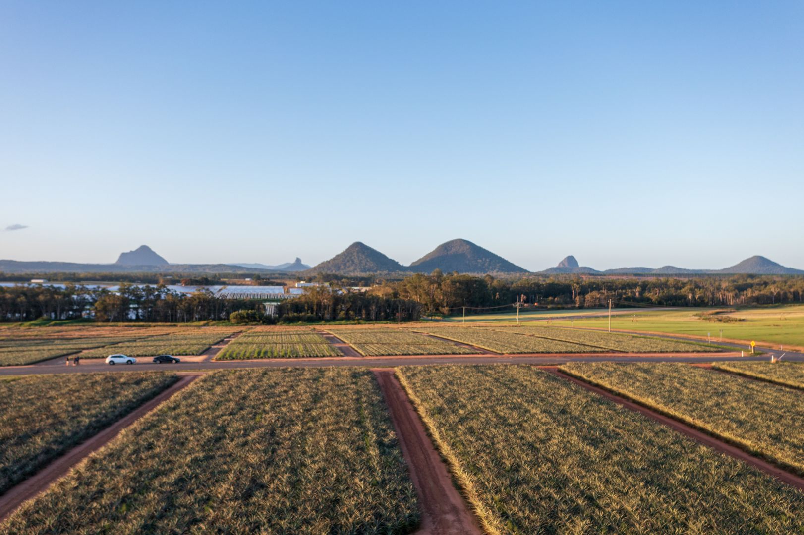 Lot 14 Pates Road, Wamuran QLD 4512 - Vacant Land for Sale | Domain