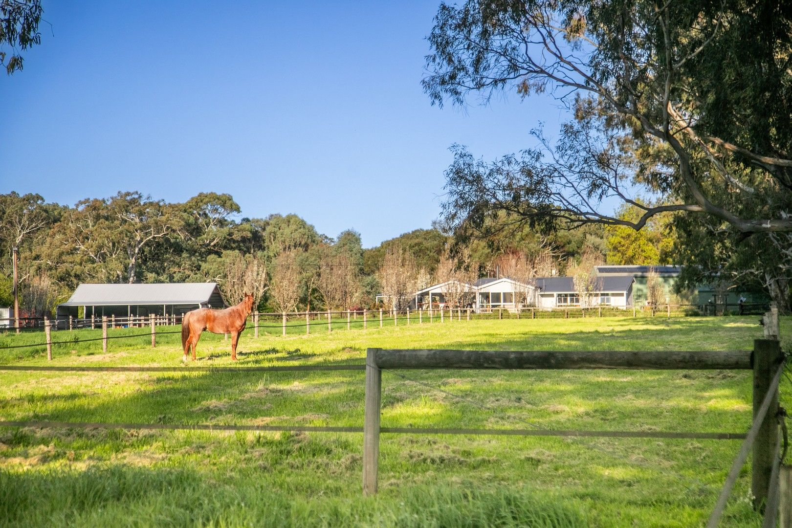 6 Kavanagh Road, Echunga SA 5153 | Domain