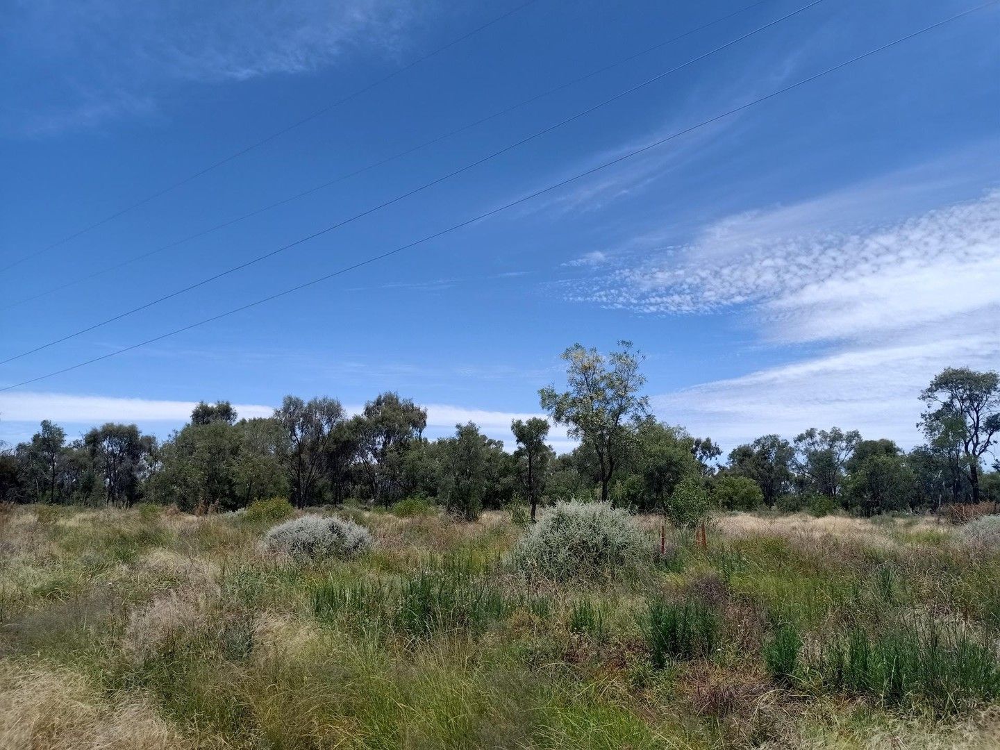 30 Shakespear Street, Carinda NSW 2831 - Vacant Land for Sale - $24,000