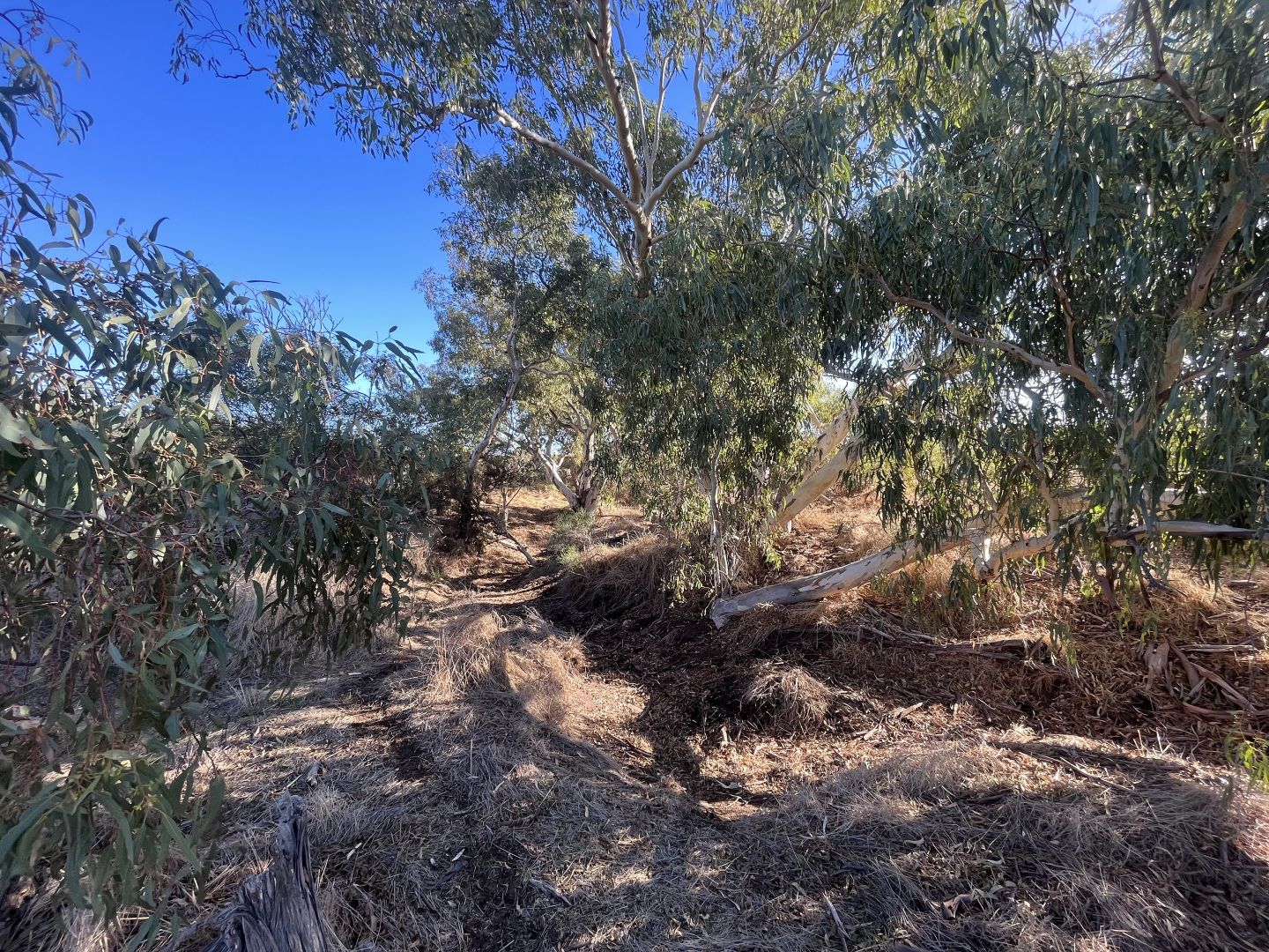 395 Nanson-Howatharra Road, Nanson WA 6532 - House for Sale | Domain