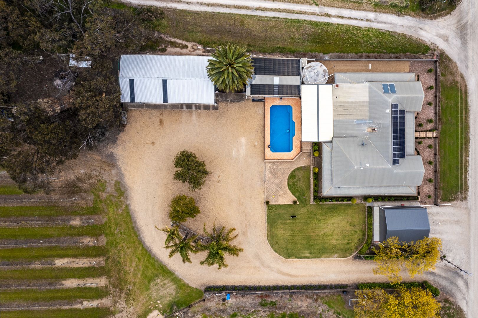 47 Peramangk Road, Nuriootpa SA 5355 - House for Sale | Domain