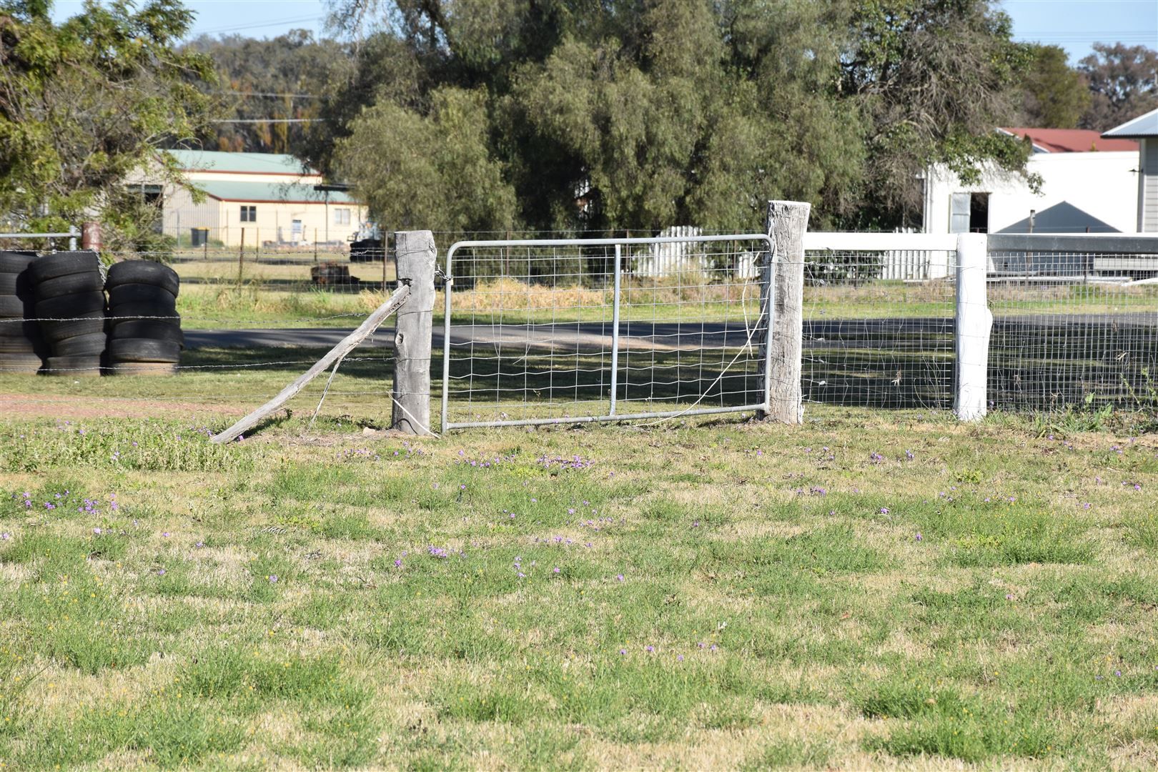 0 Peter Street, Leyburn QLD 4365 - House for Sale - $320,000 | Domain