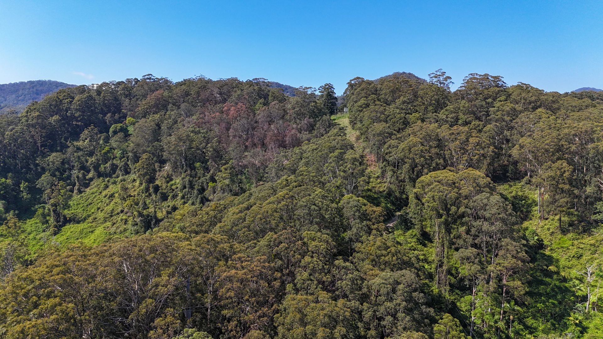 299 South Island Loop Road, Upper Orara NSW 2450 | Domain