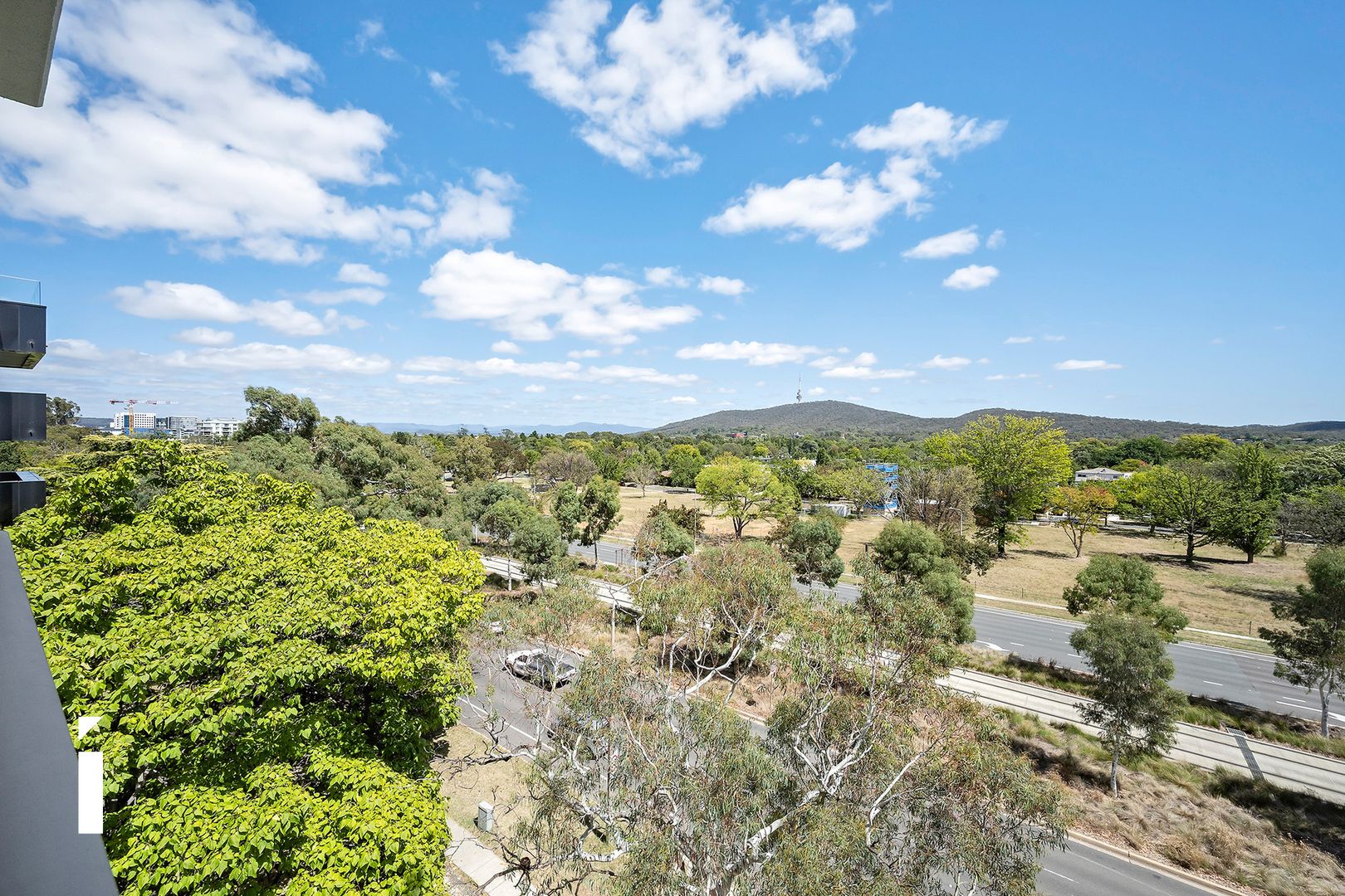 81/10 Ipima Street, Braddon ACT 2612 | Domain
