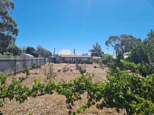 27 Alfred Street, Hallett SA 5419 - House for Sale - $550,000