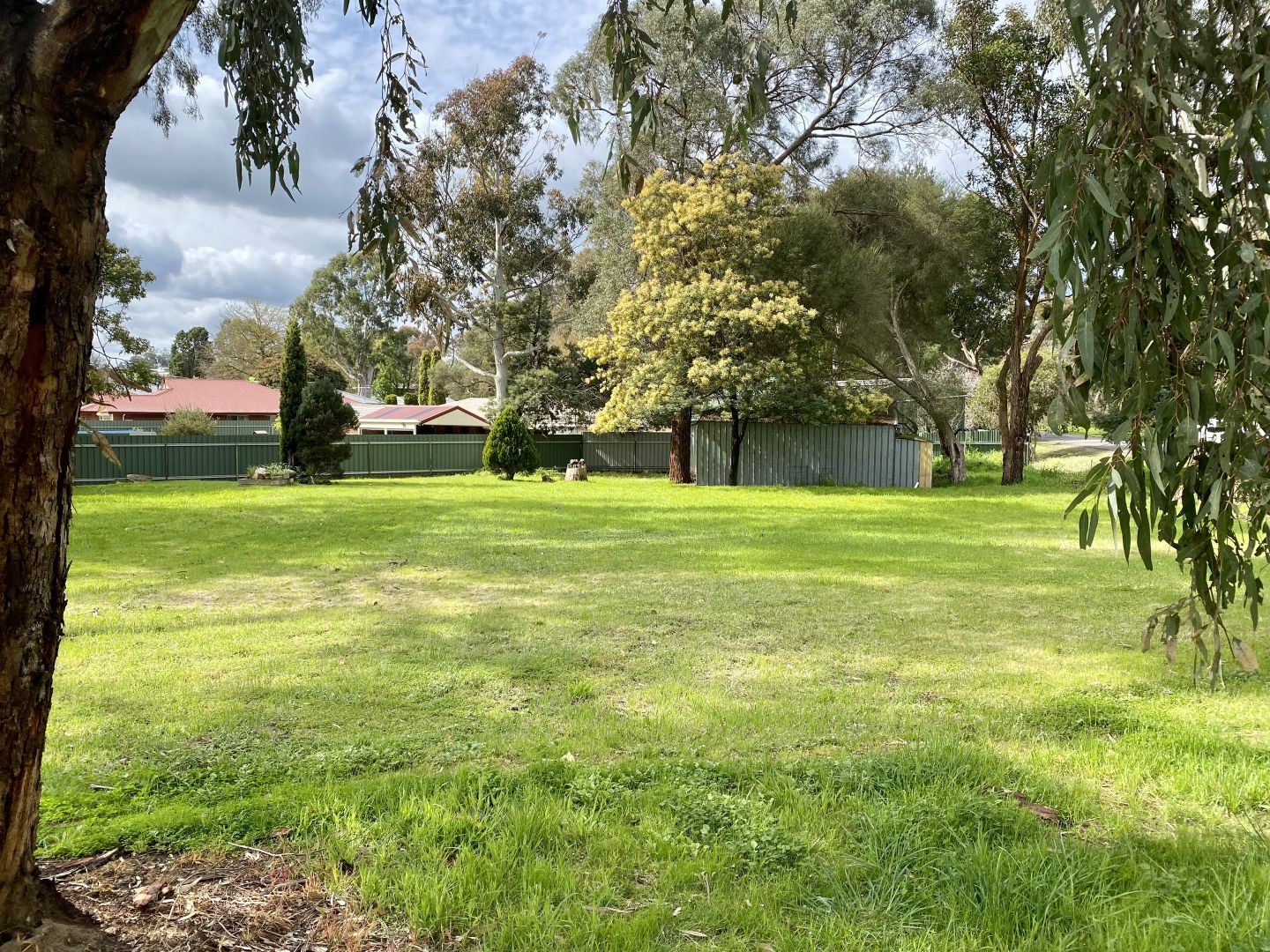 17 William Street, Birdwood SA 5234 | Domain