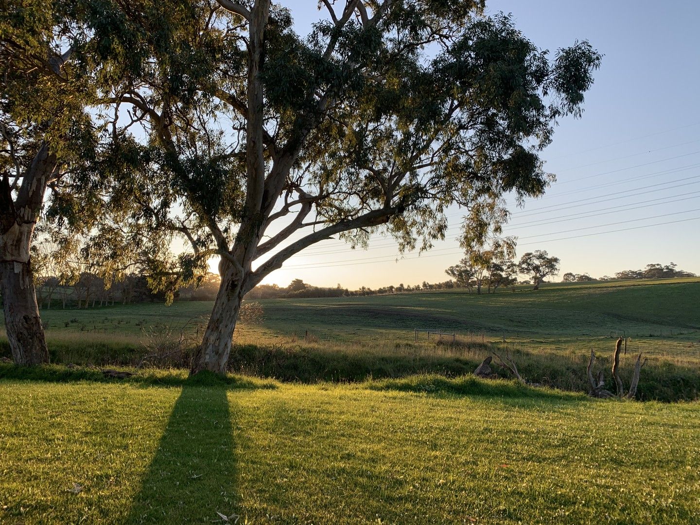 Lot 66 Springton Parade, Mount Barker SA 5251 | Domain