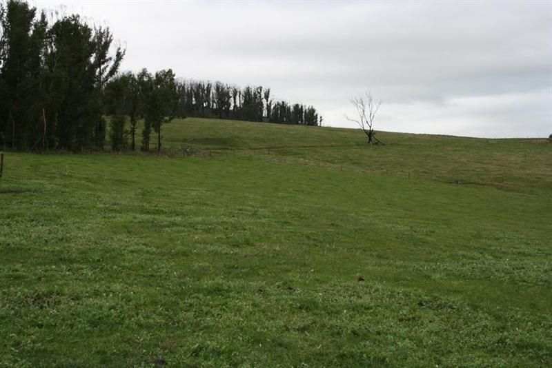 350 Forest Road, Labertouche | Property History & Address Research | Domain