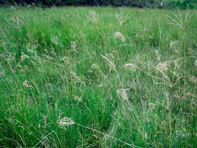 Sold 3940 Beeron Road, Mundubbera QLD 4626 on 31 Aug 2021 - 2016683932 ...