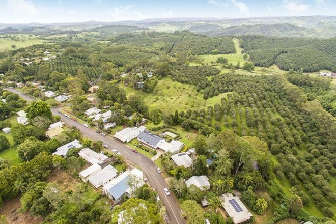 527 Real Estate Properties for Sale in Dunoon, NSW, 2480 | Domain