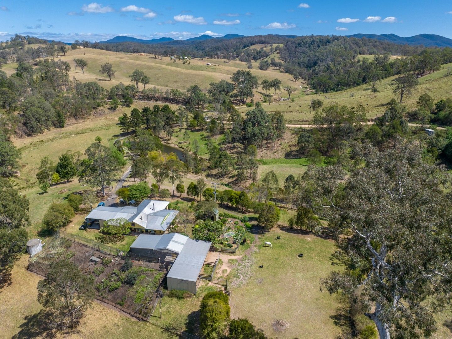 179 Hawks Head Road, Brogo NSW 2550 - House for Sale - $995,000