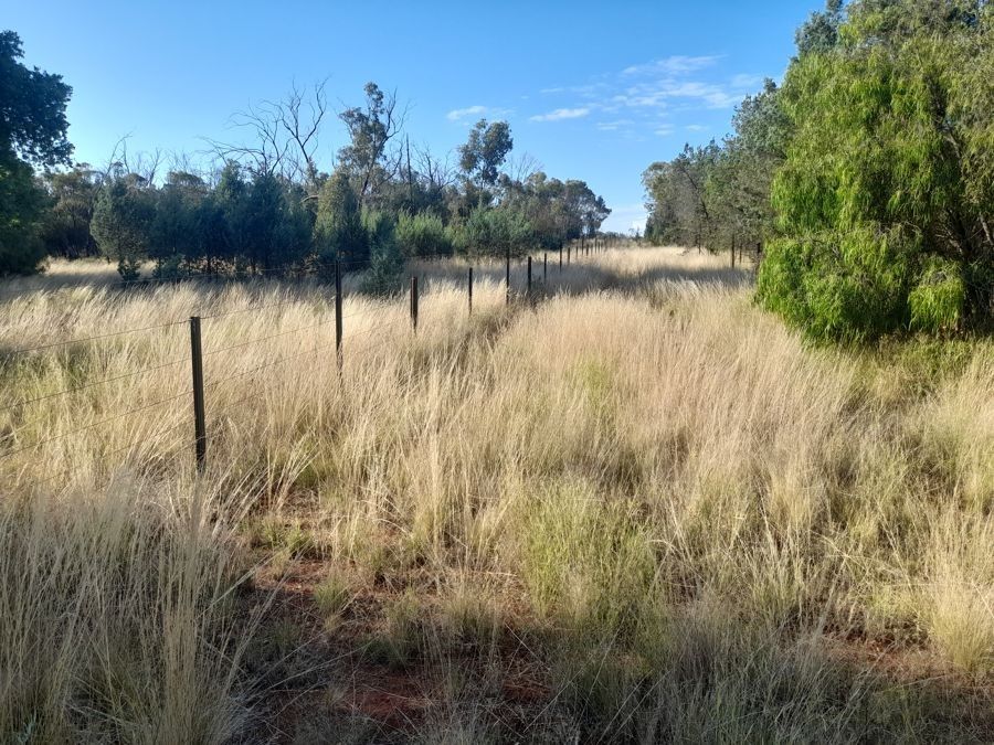 Sold 4384 The Bogan Way, Tottenham NSW 2873 on 23 Feb 2023 - 2018363360 ...