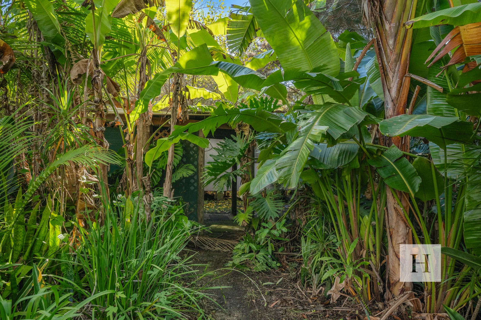 10 Waropara Road, Wyee NSW 2259 | Domain