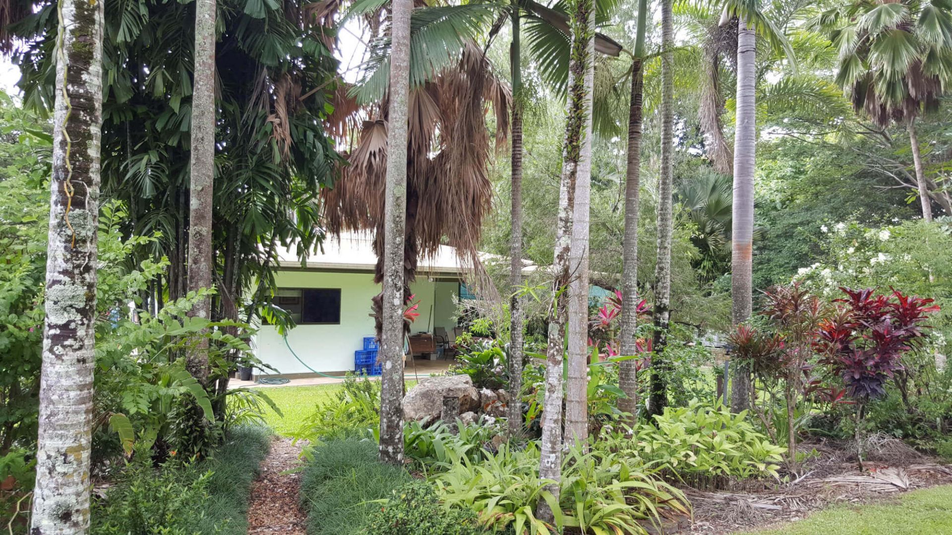 Lot 6 Colman Close, Coen | Property History & Address Research | Domain