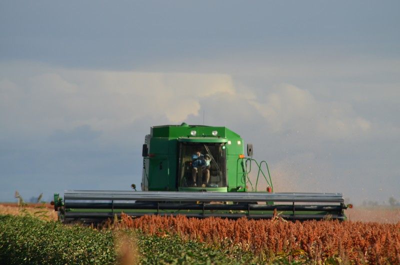 483 Bongeen School Road, Bongeen | Property History & Address Research ...