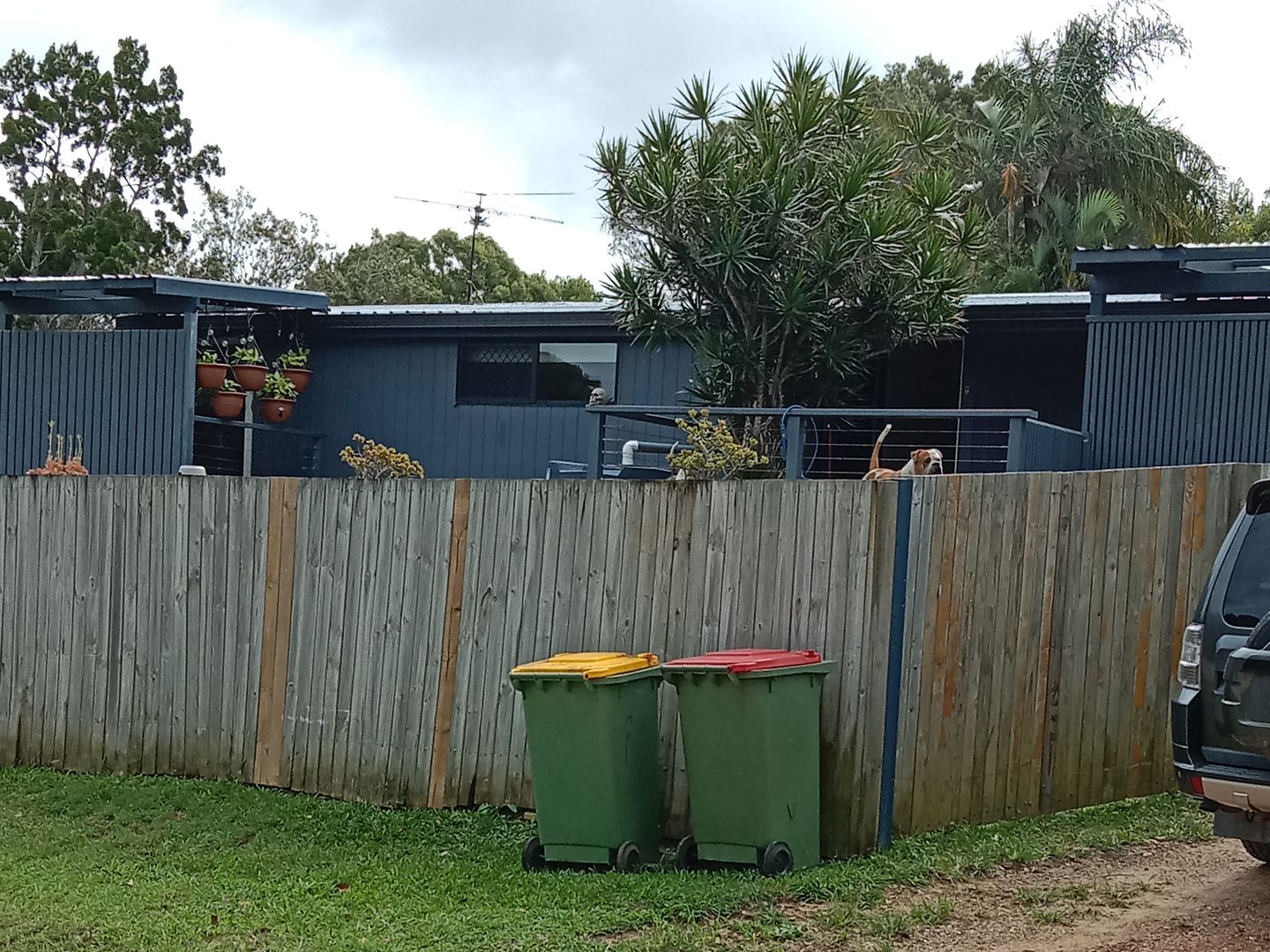 9 Florence Street, Macleay Island QLD 4184 | Domain