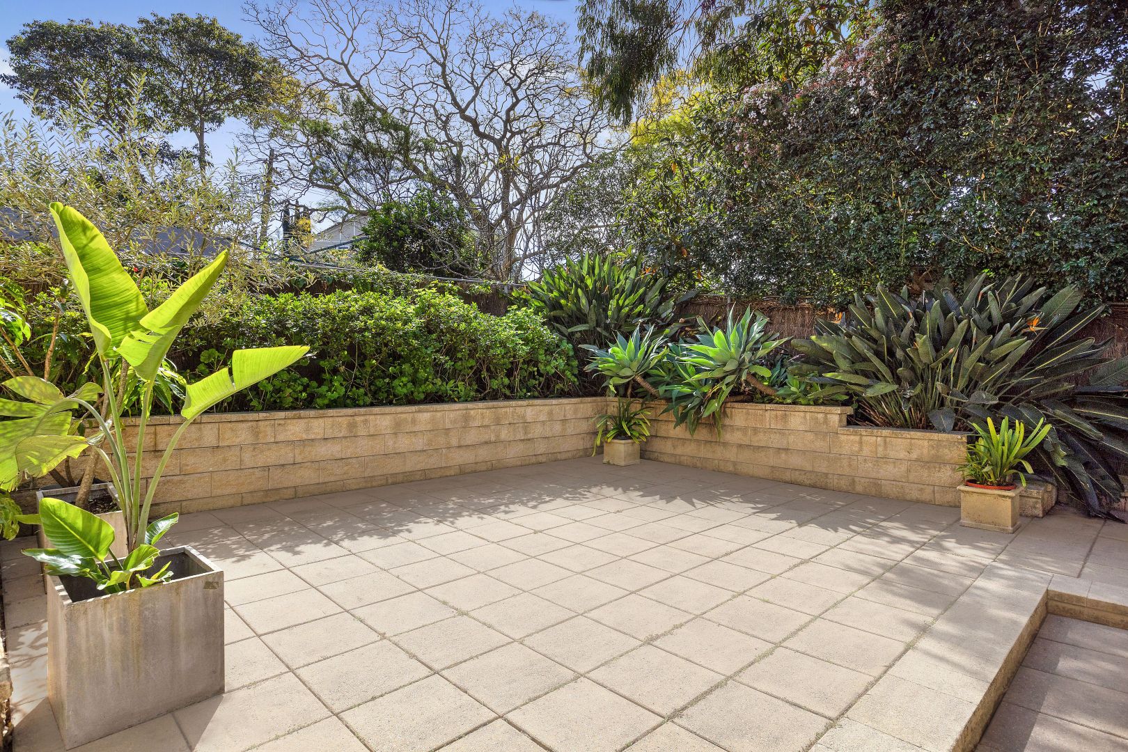 1,2,3 & 4/19 Elizabeth Street, Artarmon NSW 2064 | Domain
