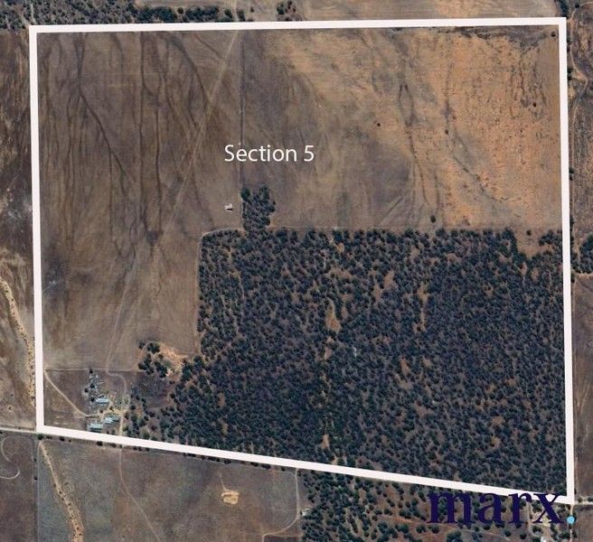 958 Stonefield Road, Steinfeld SA 5356 | Domain