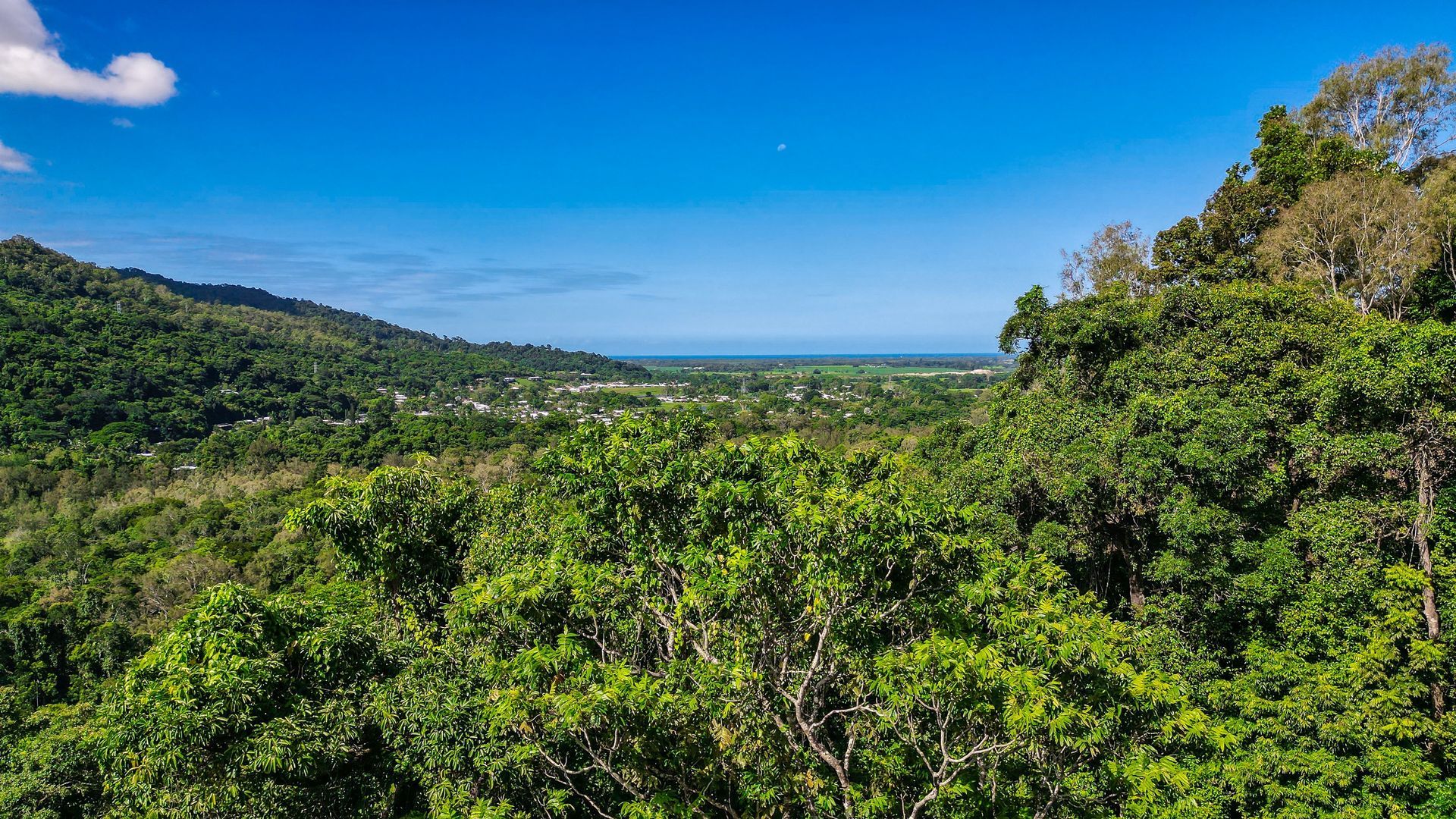 9 Jagera Close, Kamerunga QLD 4870 | Domain