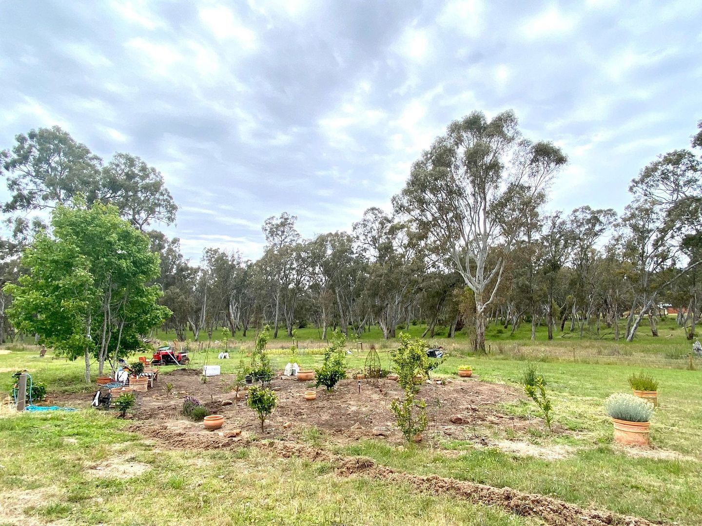 23 Horsham Road, Balmoral VIC 3407 | Domain