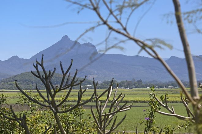 121 Real Estate Properties for Sale in Nunderi, NSW, 2484 | Domain