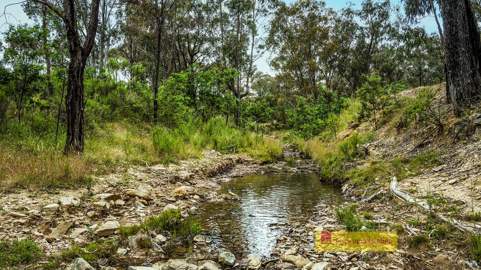 836 Pyramul Road, Windeyer | Property History & Address Research | Domain