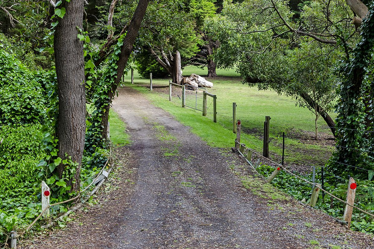 14 Pine Tree Lane, Portland VIC 3305 - House for Sale | Domain