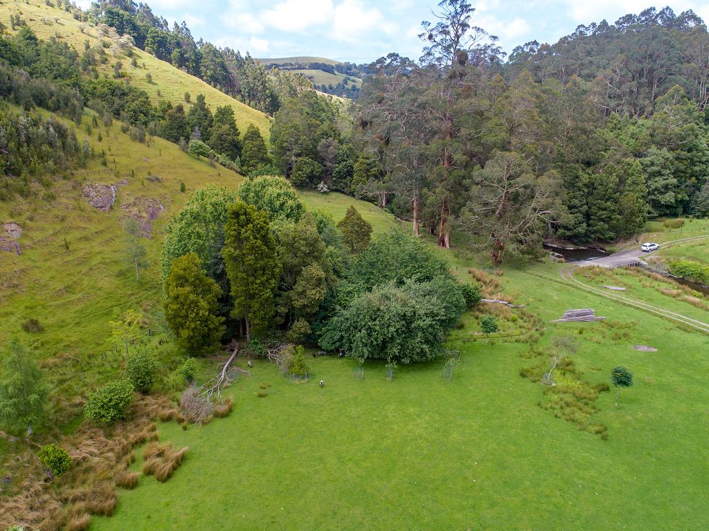 662 Barham River Road, Apollo Bay VIC 3233 | Domain