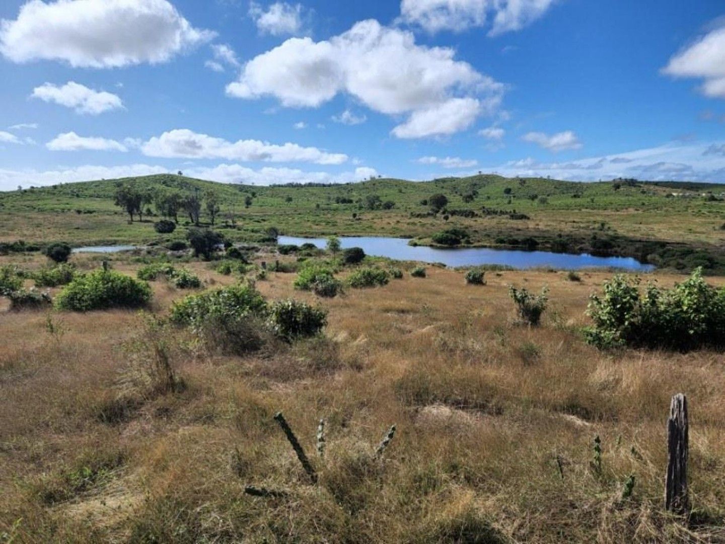 91 Sisalana Road, Bajool QLD 4699 - House for Sale | Domain