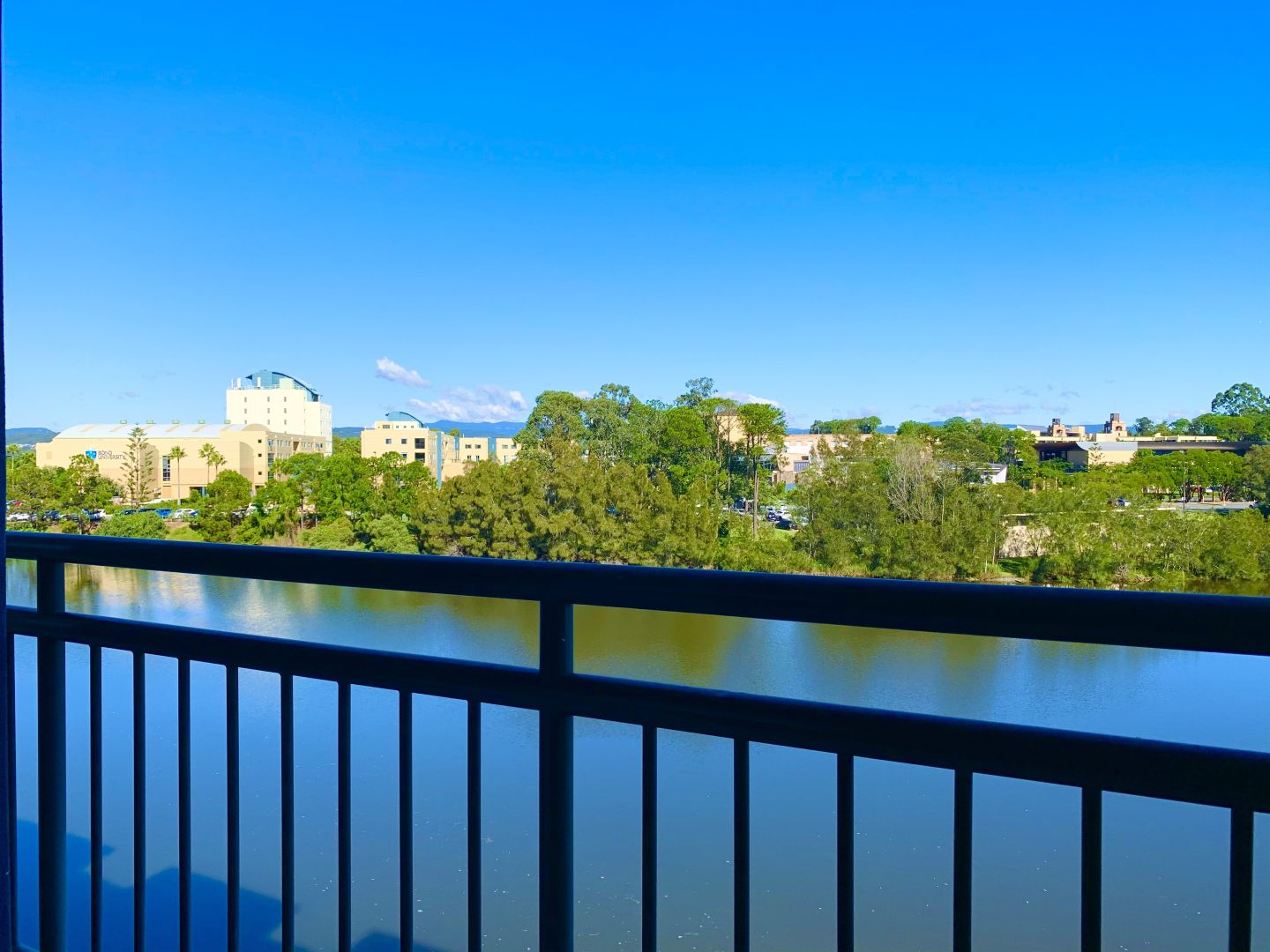 343/25 Lake Orr Drive, Robina QLD 4226 - Studio For Rent - $450 | Domain