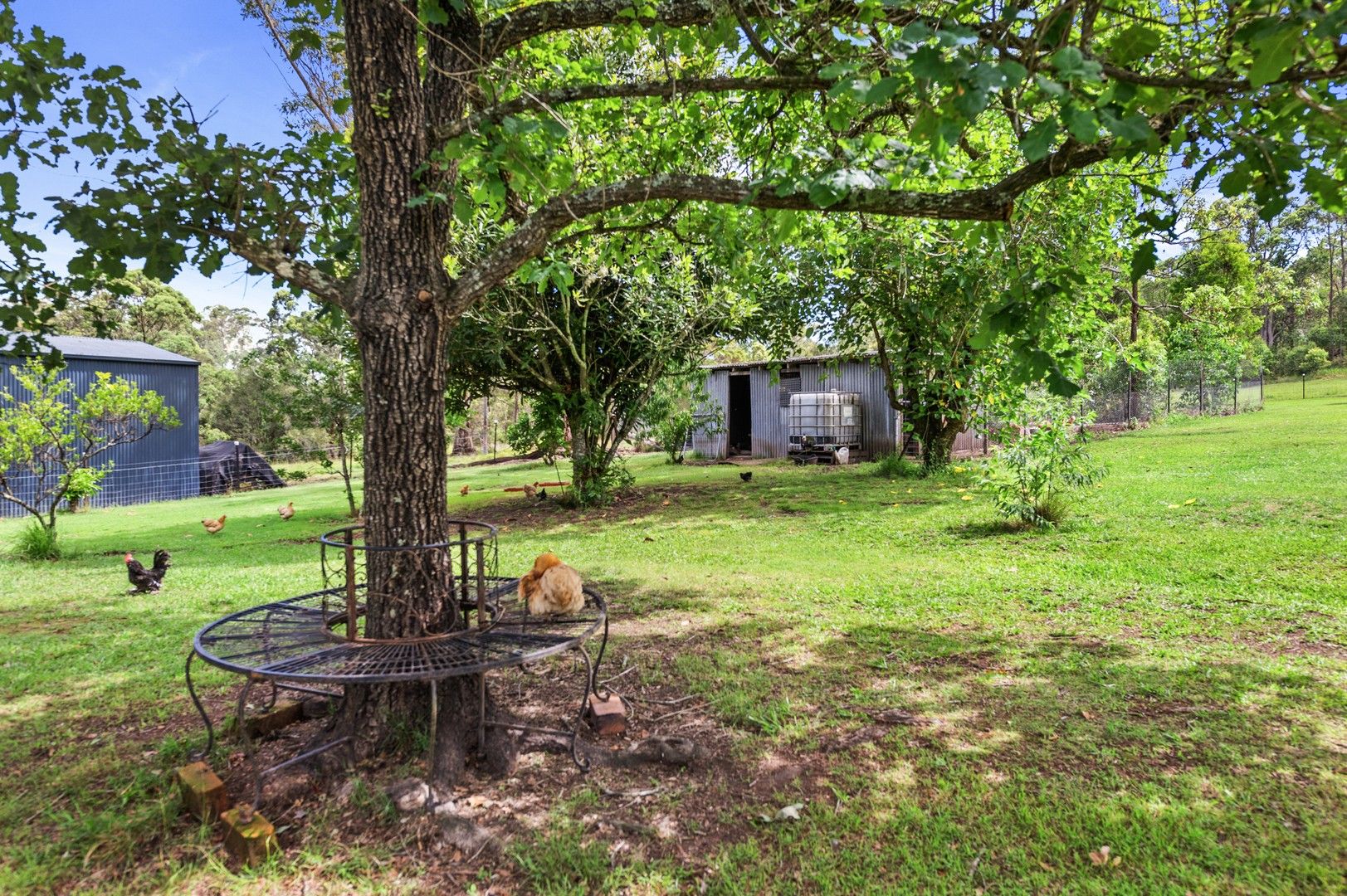 198 Germany Lane, Dyers Crossing NSW 2429 - Farm for Sale | Domain
