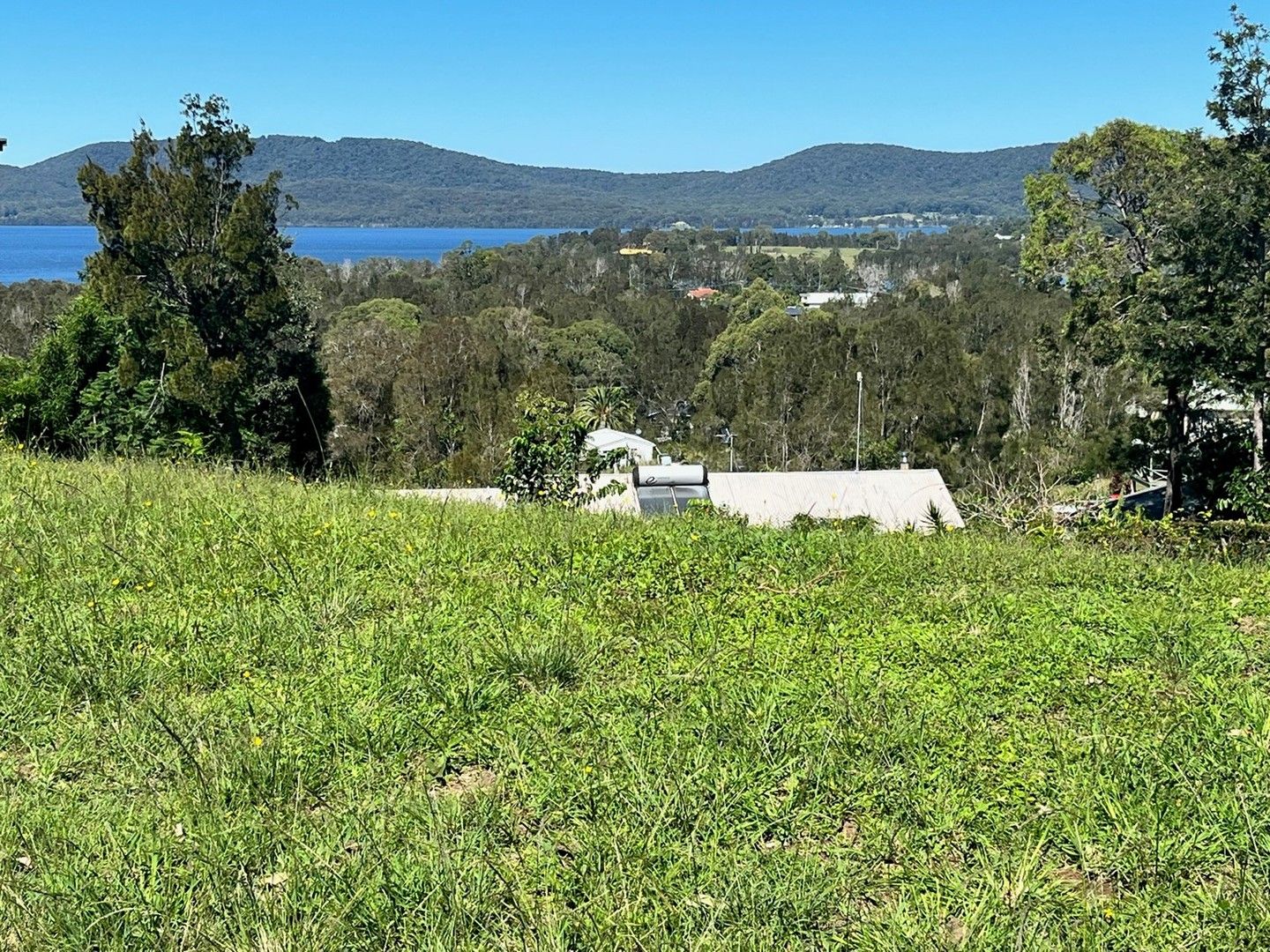 3 Coolangatta Street, Coomba Park NSW 2428 | Domain
