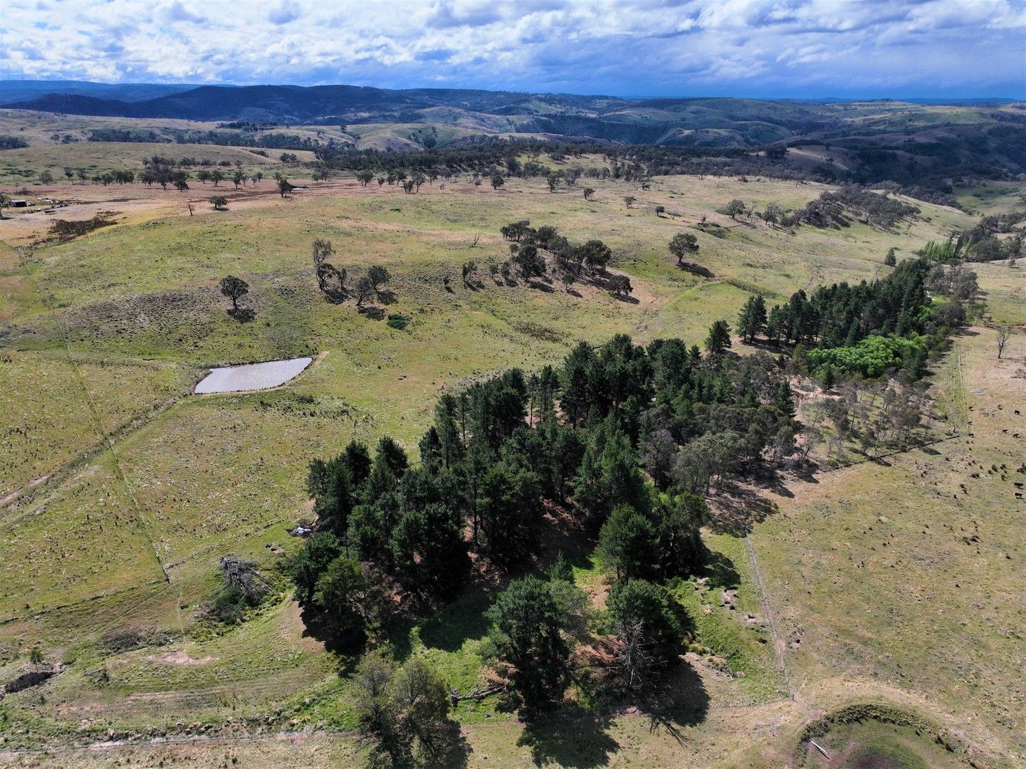 Lot 15/254 Losebys Road Big Hill, Marulan NSW 2579 - Farm for Sale ...