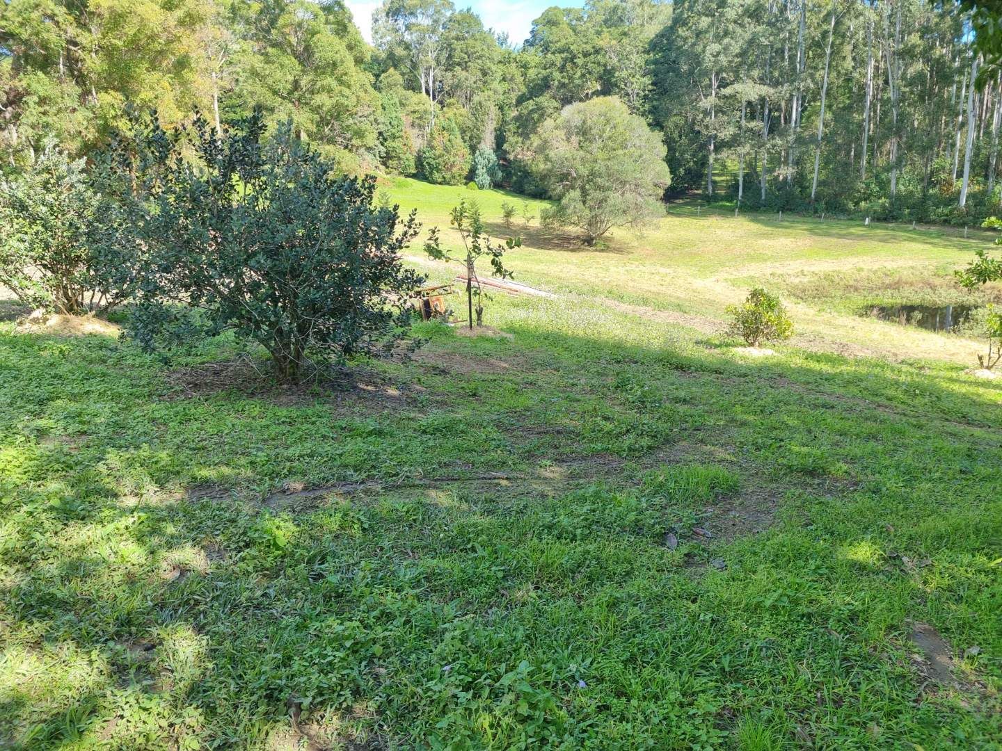 52 Yarrabee Terrace, Stokers Siding NSW 2484 - House for Sale