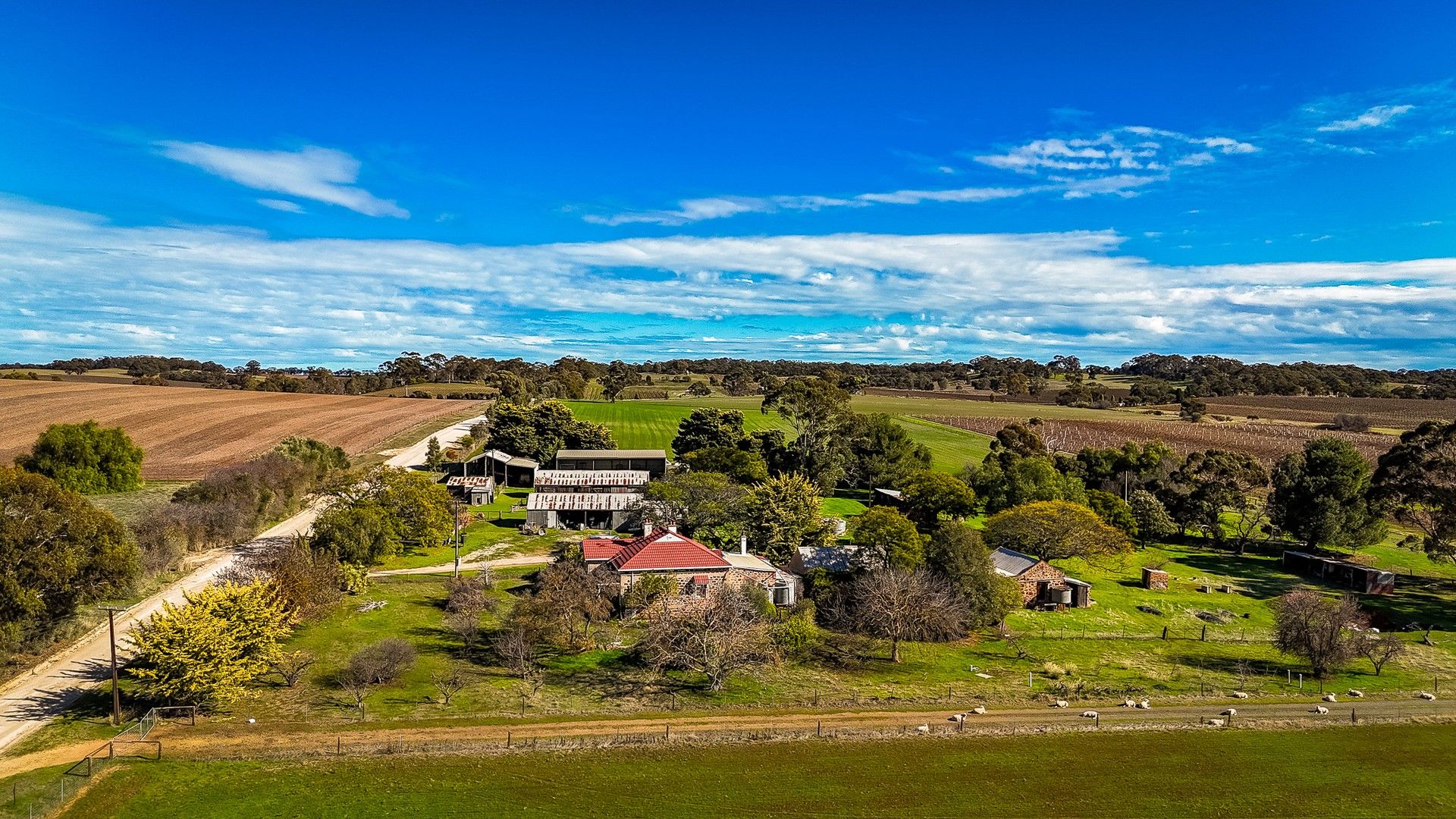 80 Krieg Road, Lyndoch SA 5351 - Viticulture Property for Sale
