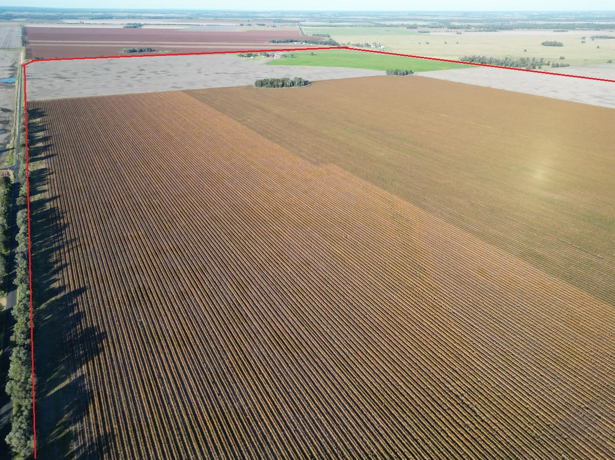 341 Boonarga Inverai Road, Boonarga QLD 4413 - Specialist Farm for Sale