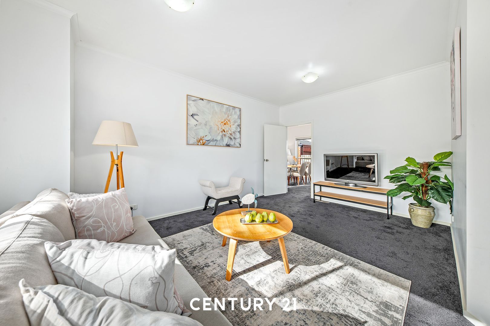4 Adaleigh Court, Clayton VIC 3168 | Domain